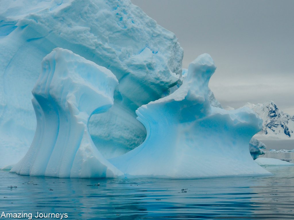 Antarctica Archives - Amazing Journeys