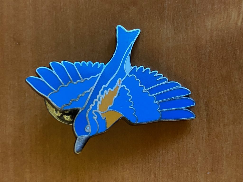 Bluebird of Happiness - Feeling Grateful